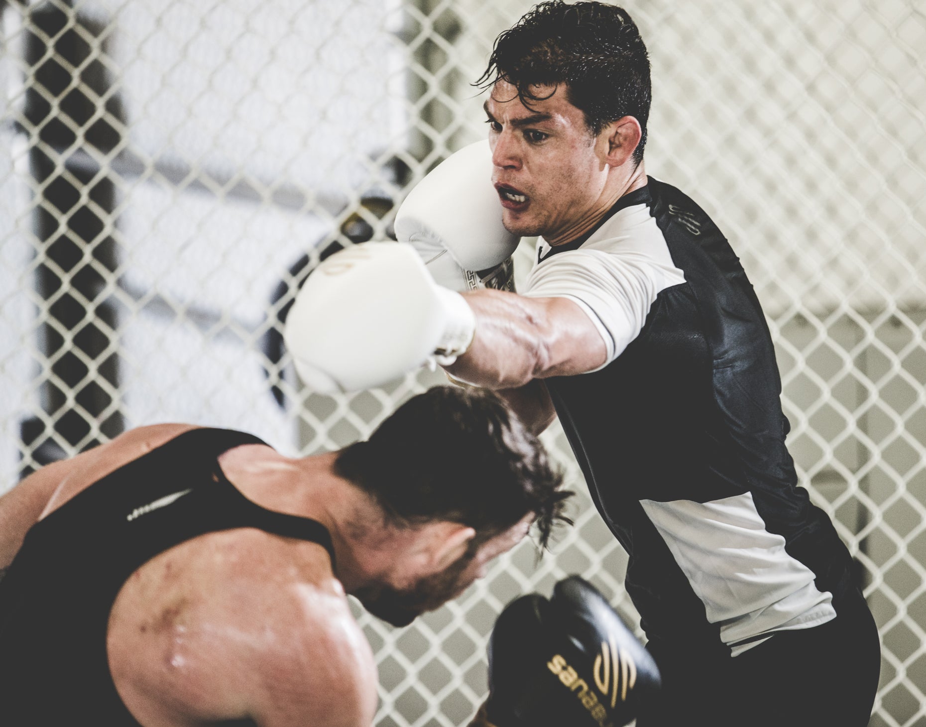 Sparring Intensity – Sanabul