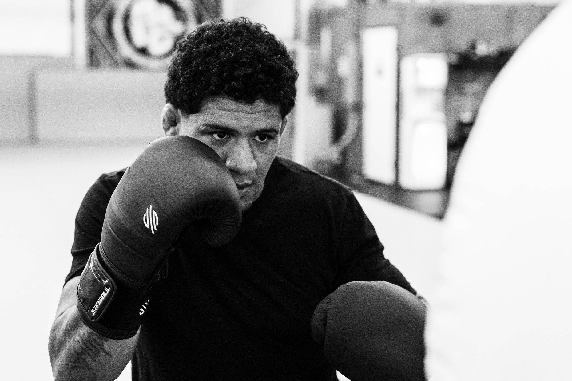 Collections – Sanabul