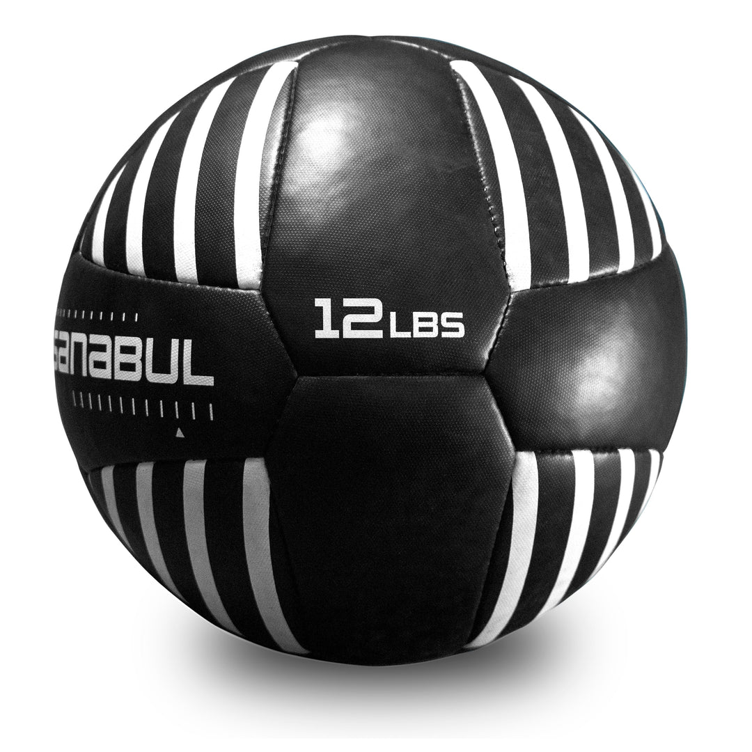 Lab Series Medicine Wall Fitness Ball | Sanabul