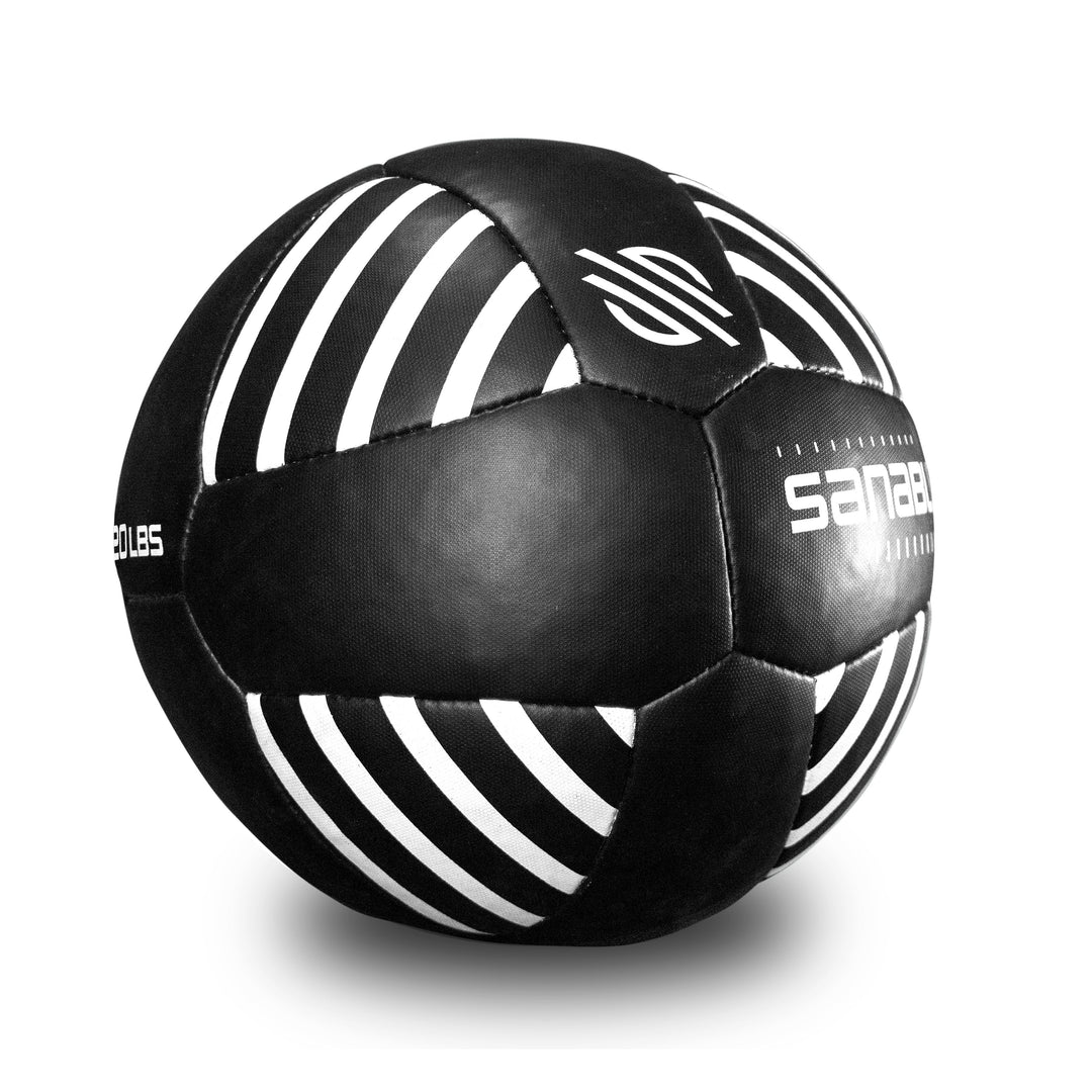 Lab Series Medicine Wall Fitness Ball | Sanabul